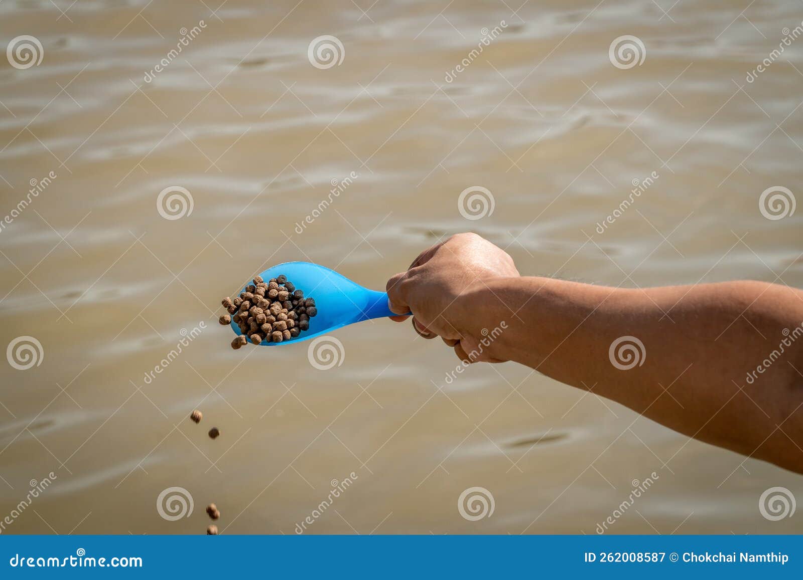 Use a Blue Spoon To Feed the Fish Stock Image - Image of hand, color ...