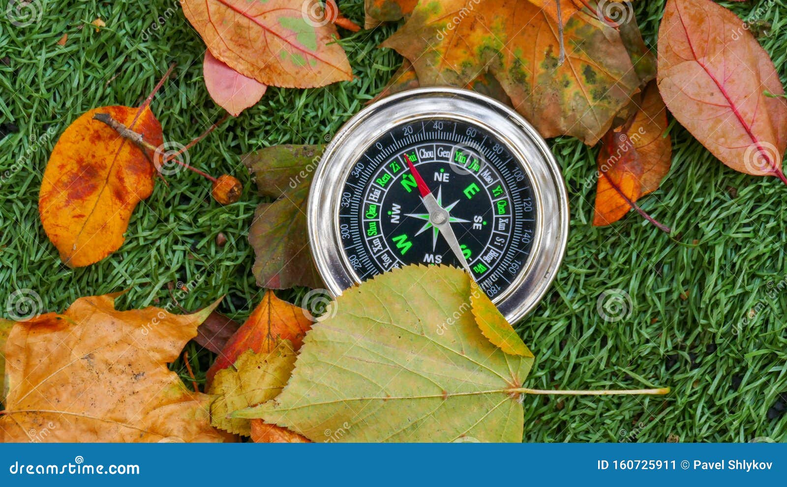 Use Compass in the Forest stock image. Image of position - 160725911
