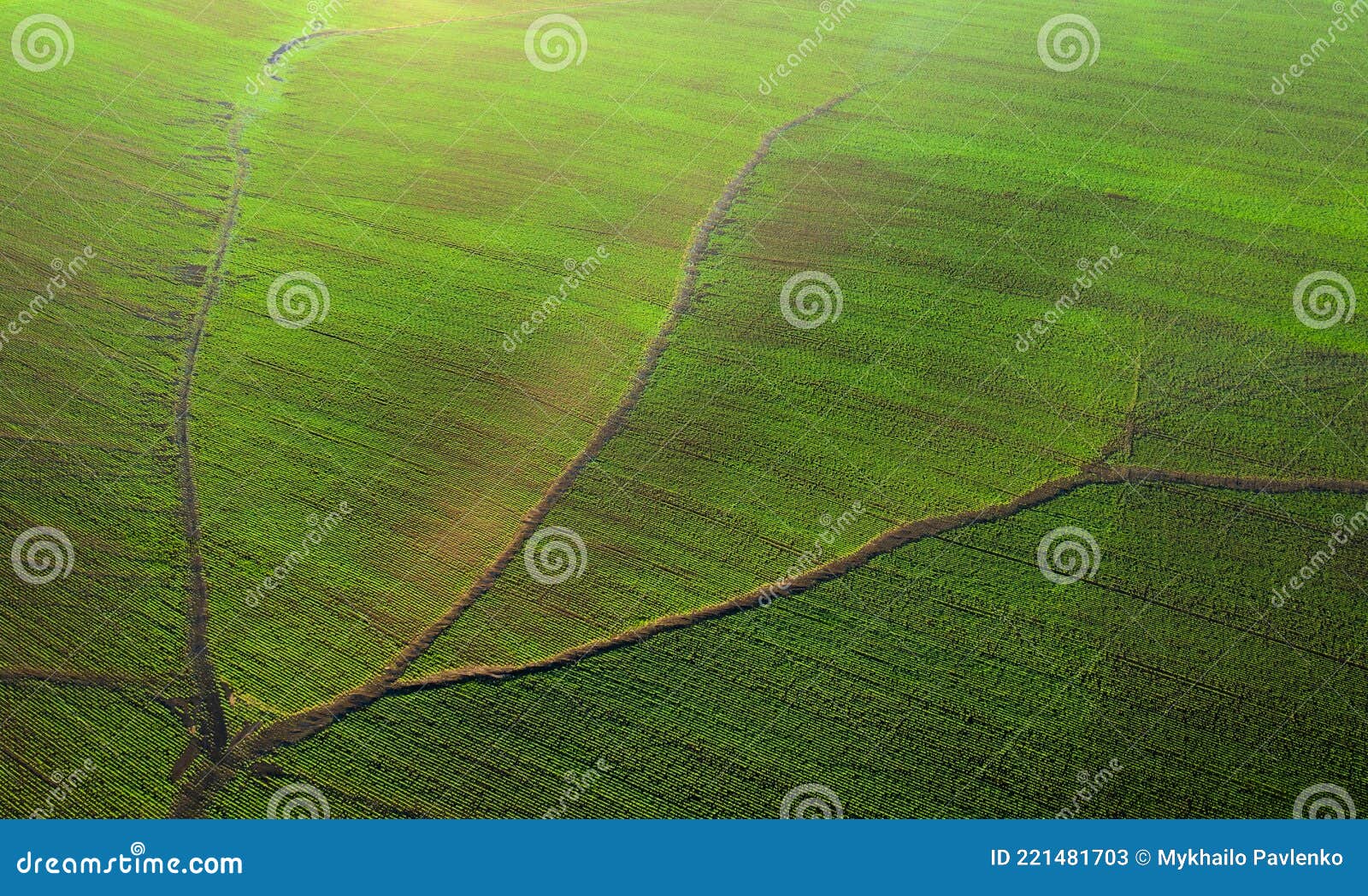 Destroyed Agricultural Crops by Heavy Rains View from the Drone. Stock ...