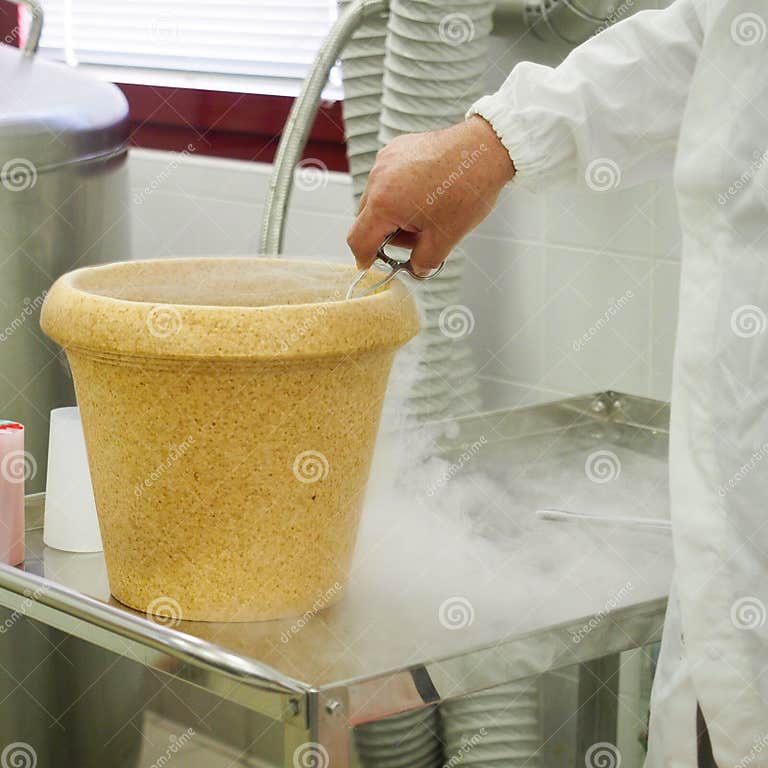 Using Liquid Nitrogen at the Lab Stock Image - Image of bubble ...