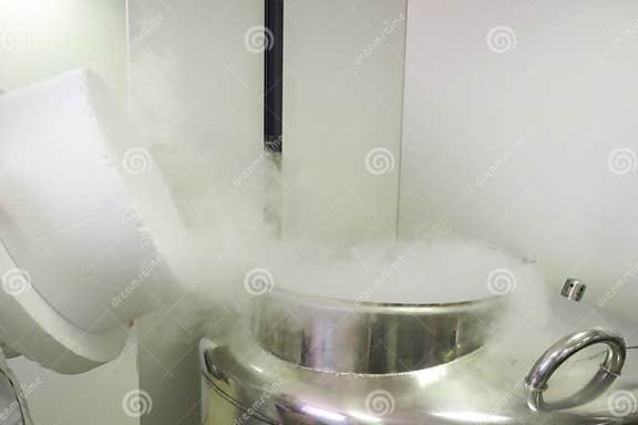 Using Liquid Nitrogen at the Lab Stock Image - Image of scientist ...