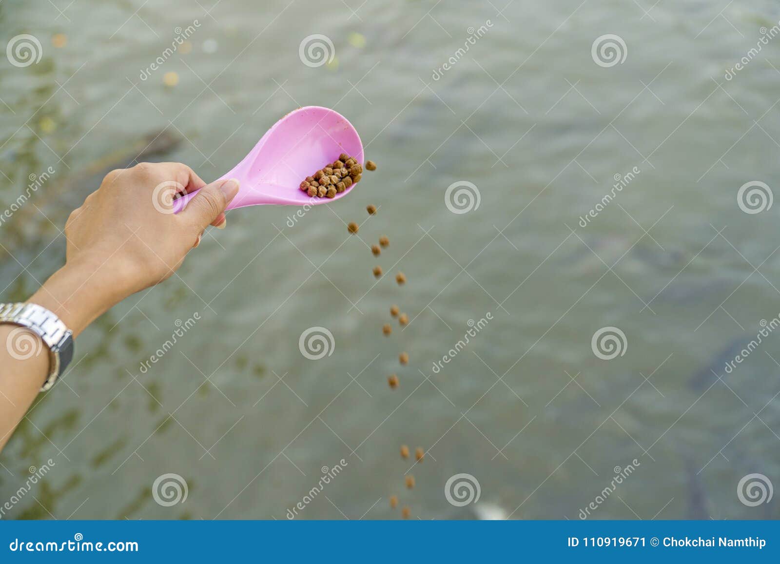 Use a Pink Spoon To Feed the Fish. Stock Image - Image of fish, health ...