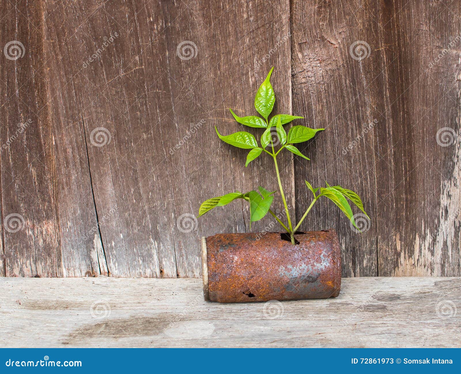 The use of recycled cans stock image. Image of corrosion - 72861973