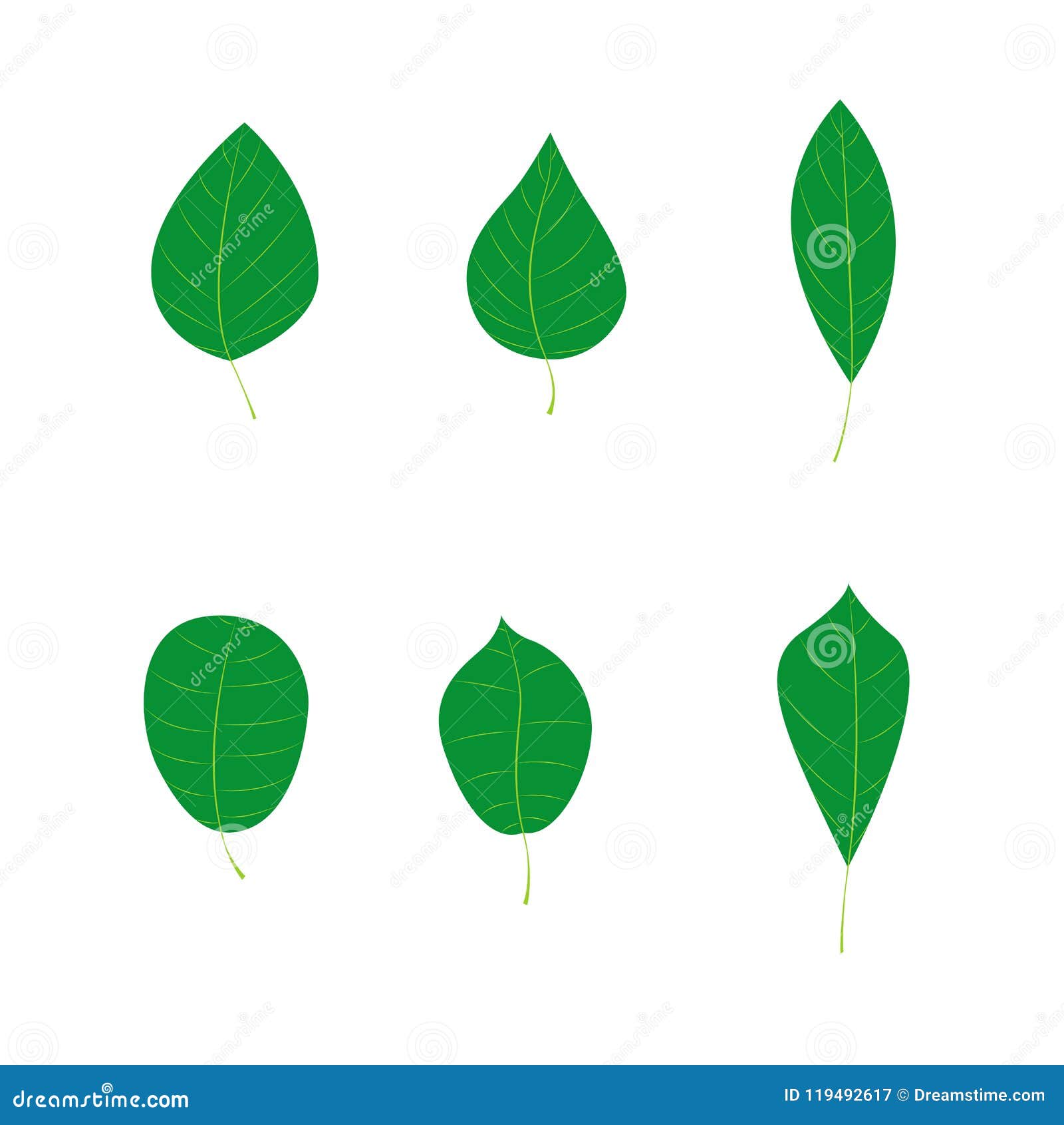 Simple leaves set stock vector. Illustration of vector - 119492617