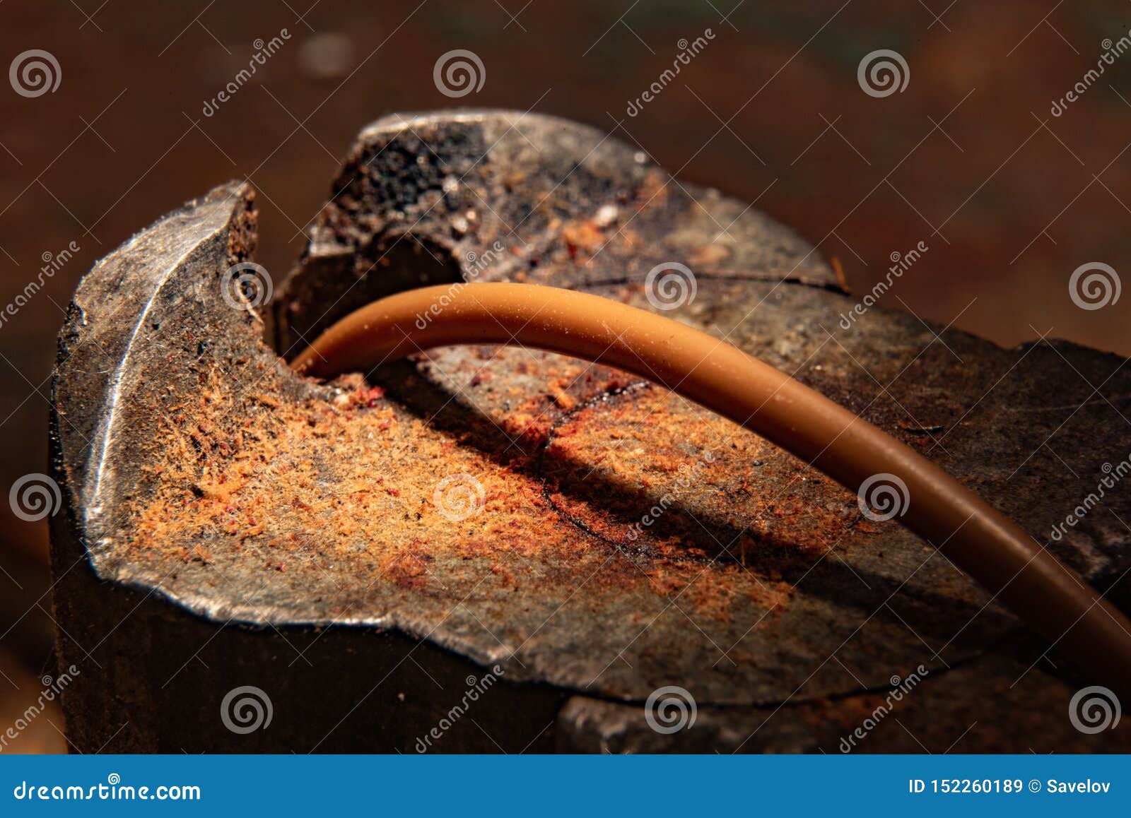 Used Diagonal Pliers Bites Wire Stock Image - Image of object, sharp ...