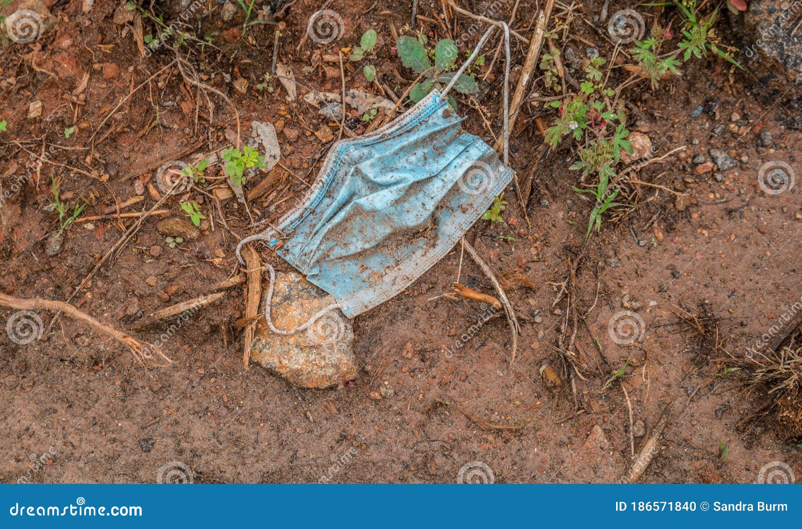Discarded Face Mask on the Ground Coronavirus Stock Photo - Image of ...