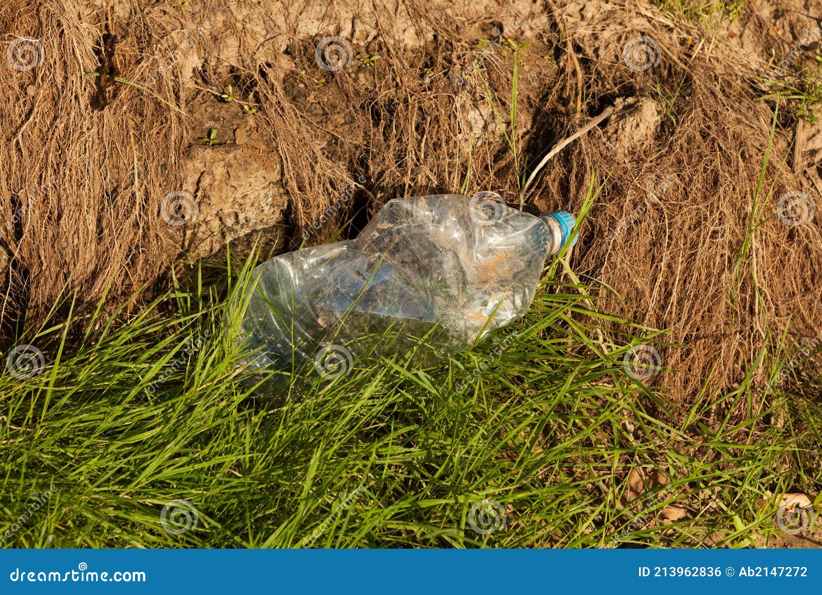 Long Decaying Waste In Nature. Abandoned Plastic Tanks Have Long Been ...