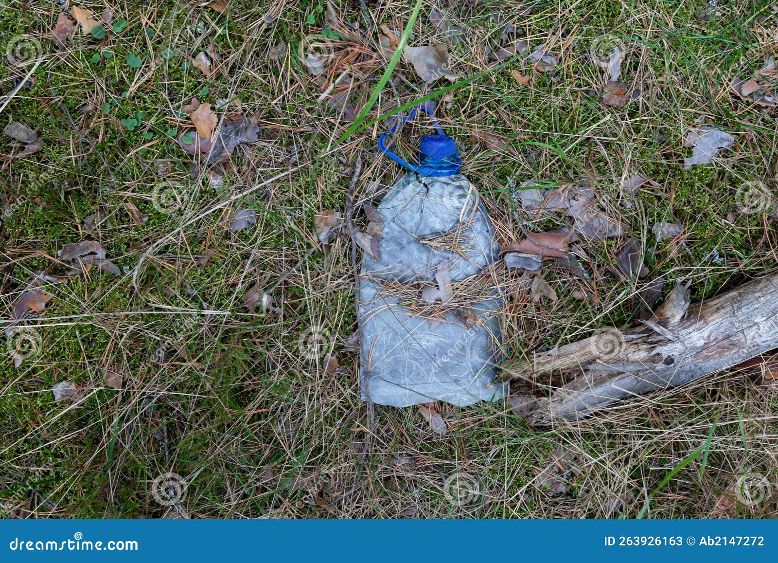 Used Disposable Plastic Bottle in Forest. Pollution Environment Stock ...
