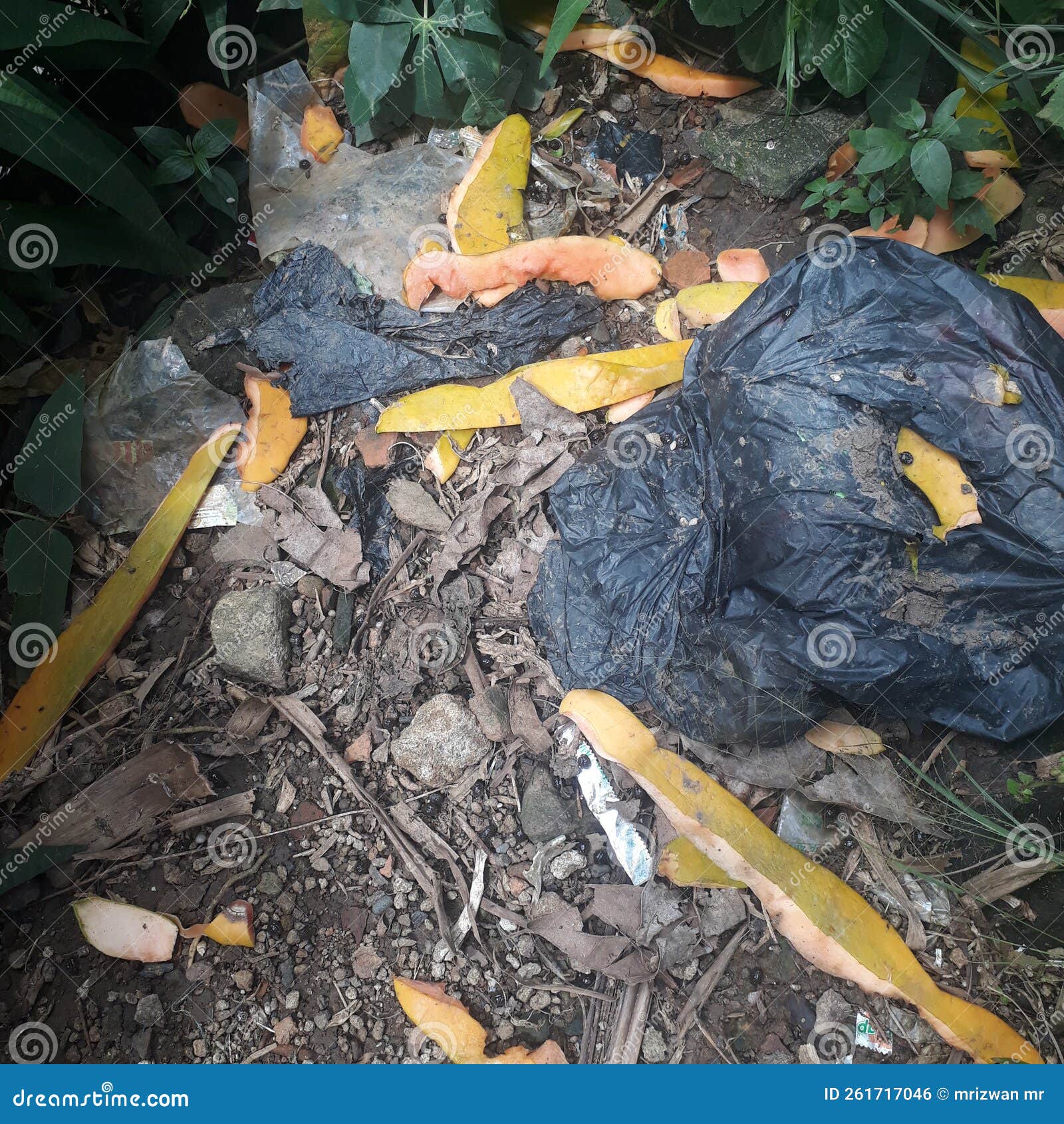 Used Plastic Bag Waste and Fruit Peels Stock Photo - Image of black ...