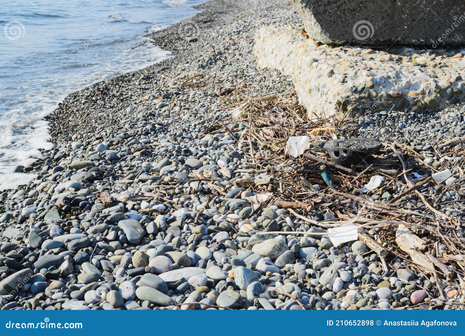 Used Plastic Sandal, Garbage, Junk Litter, Broken Tree Branches on ...