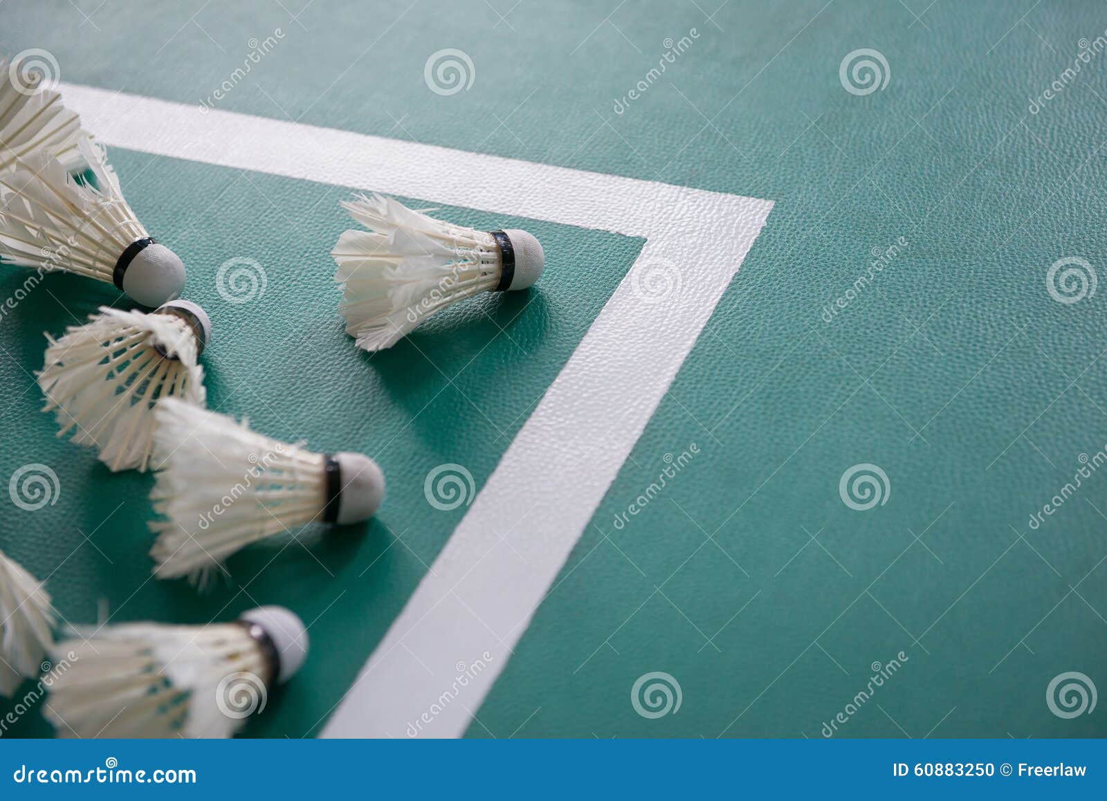 Used Shuttlecocks Inside the Edge of Badminton Courts Stock Photo ...