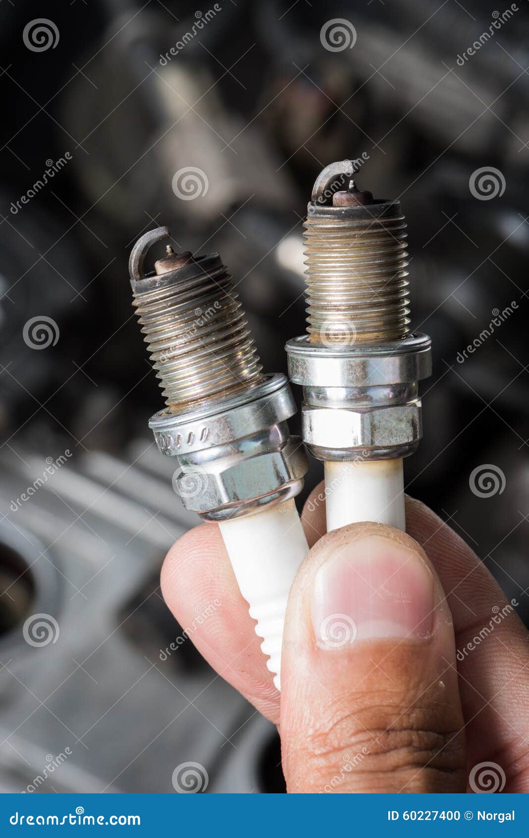 Used spark plugs stock photo. Image of isolated, automotive - 60227400