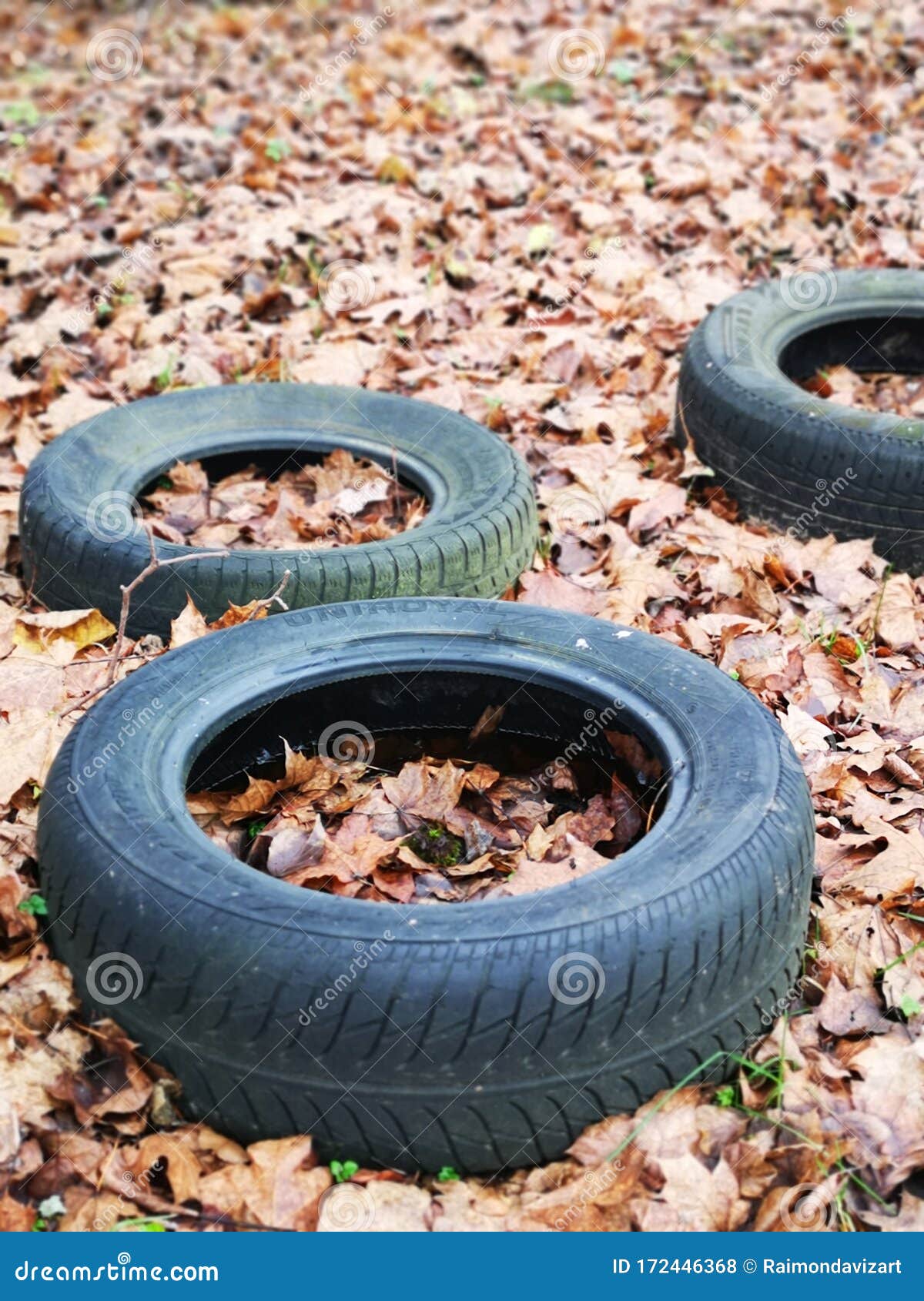 Used tires in nature stock photo. Image of nature, tires - 172446368