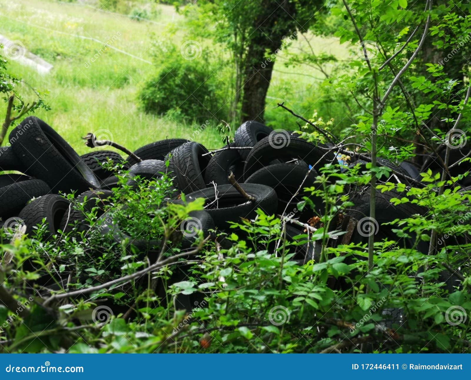 Used tires in nature stock image. Image of thrown, used - 172446411