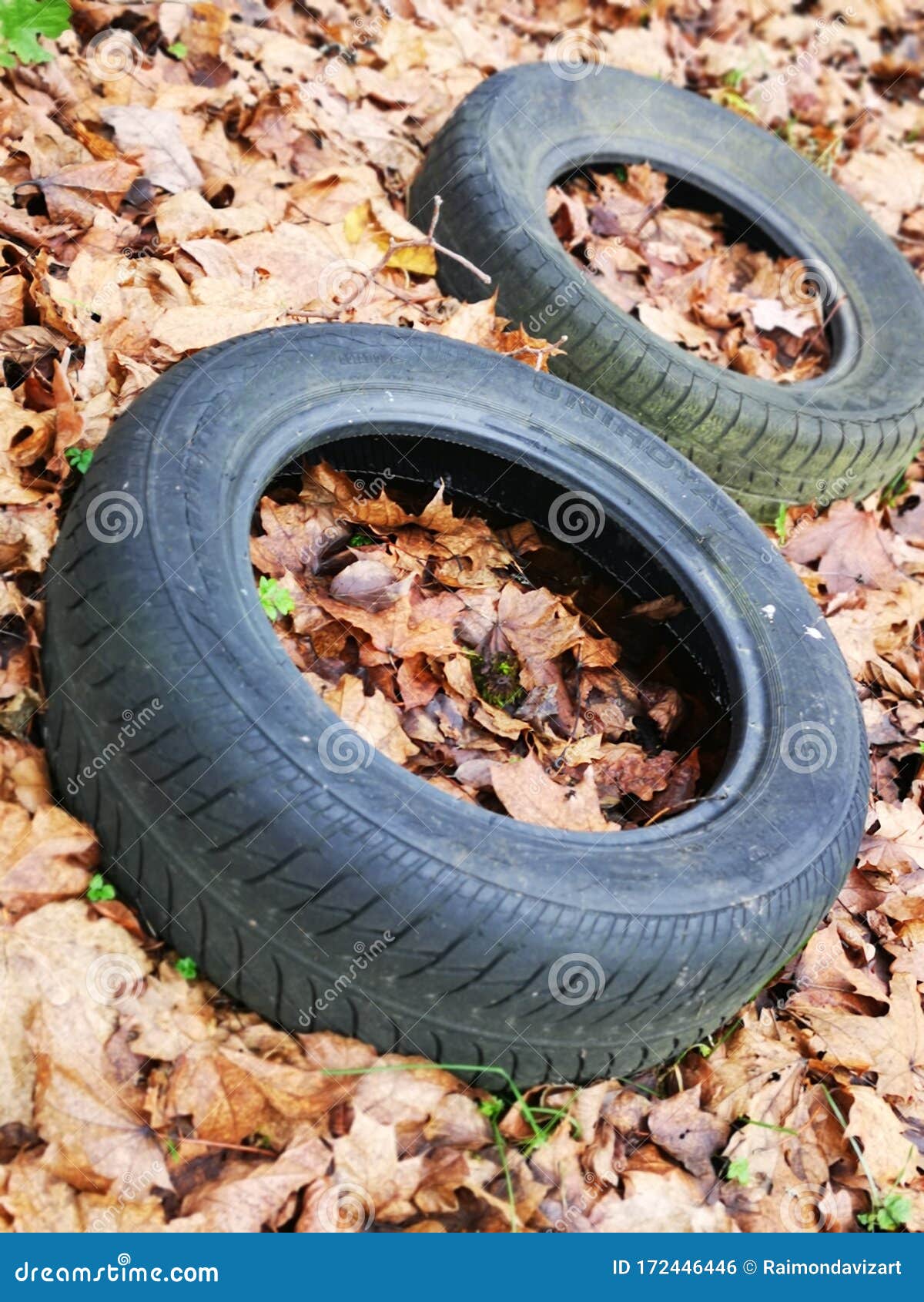 Used tires in nature stock photo. Image of tires, nature - 172446446