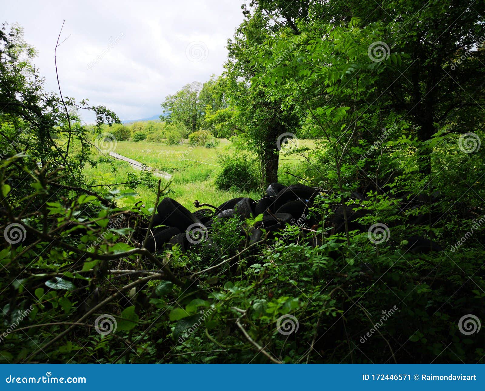 Used tires in nature stock image. Image of ecology, forest - 172446571