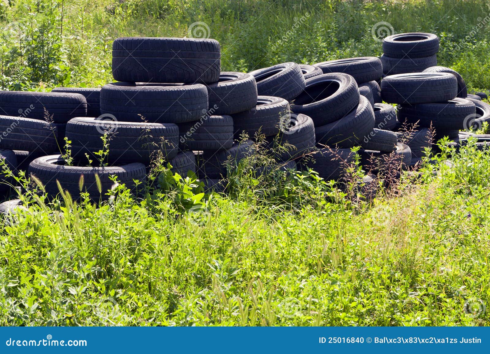 Used Tires Thrown in Nature. Stock Photo - Image of ecology, pollution ...
