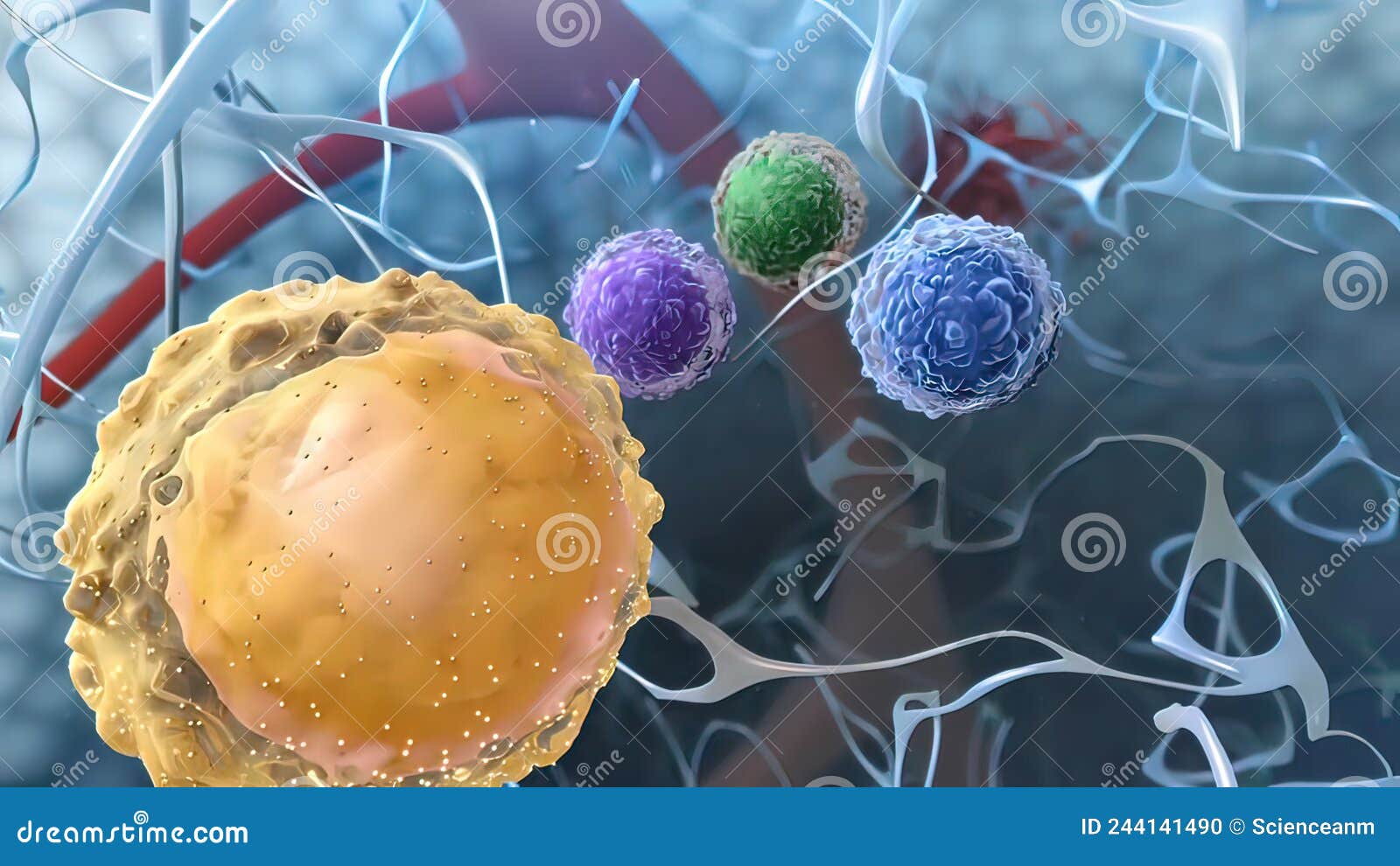 Useful Cells in the Immune System Stock Illustration - Illustration of ...