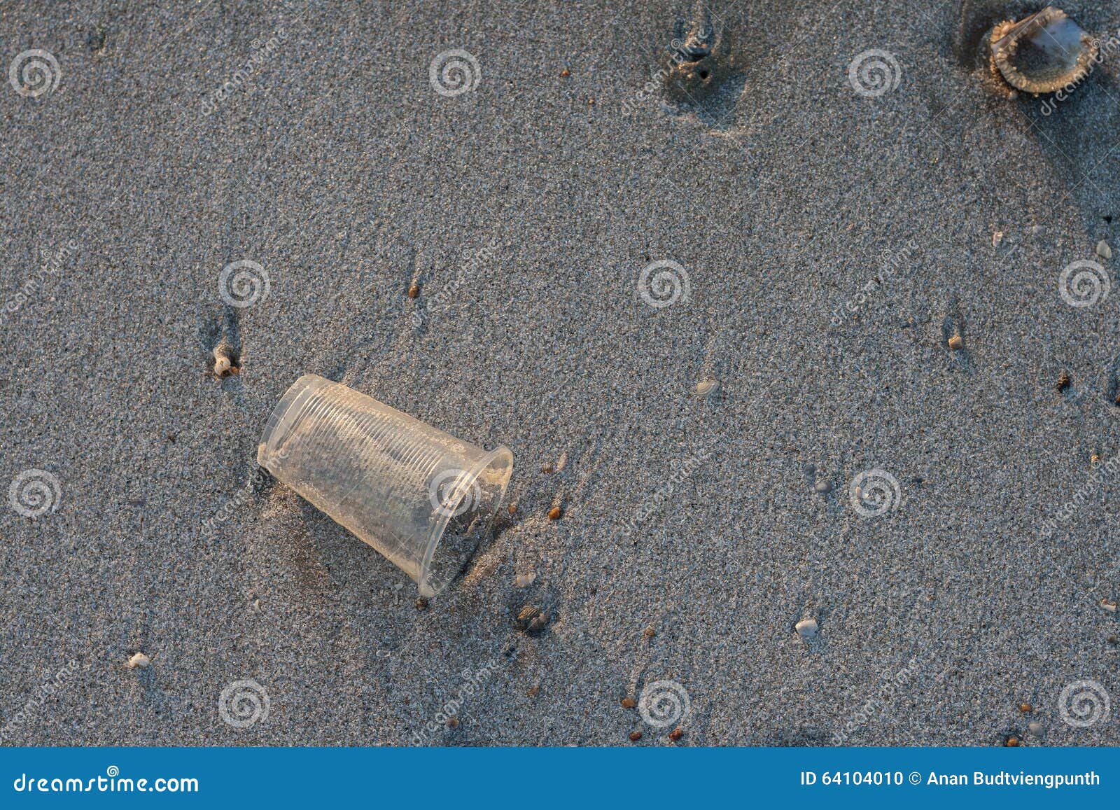 Useless Plastic Glass Beach Stock Photos - Free & Royalty-Free Stock ...