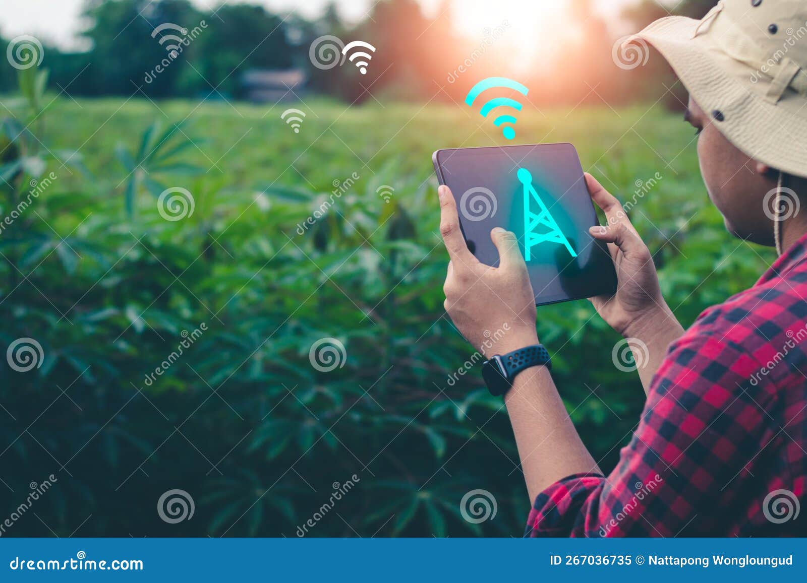 Users Look for Internet Signals To Go Online Stock Image - Image of ...
