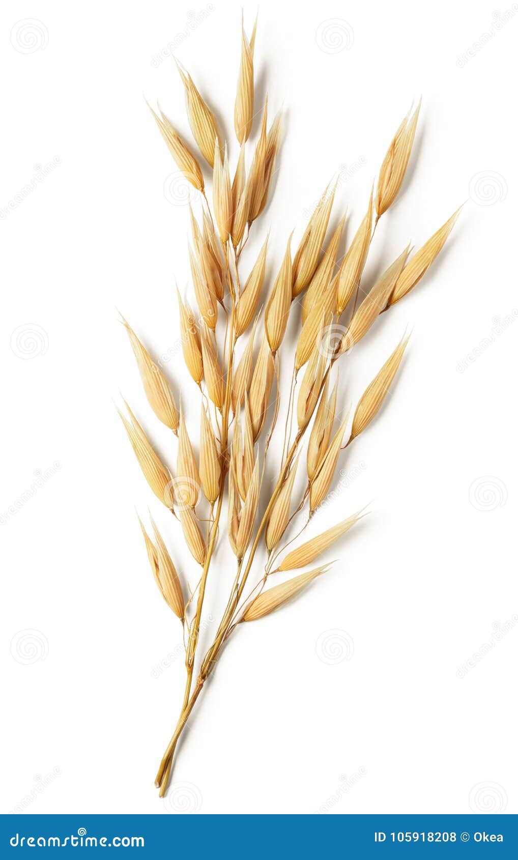 223,116 Photos de Avoine - Photos de stock gratuites et libres de ...