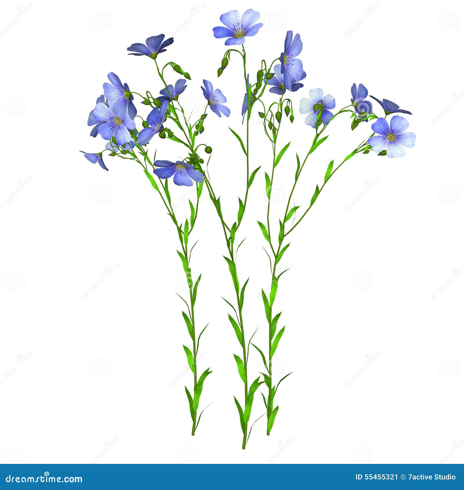 Usine de lin illustration stock. Illustration du petit - 55455321