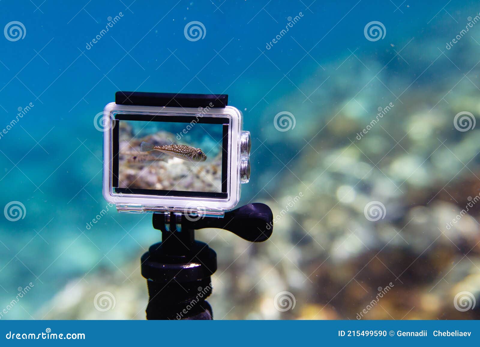 Using Action-camera in Waterproof Box To Make Photos and Video ...
