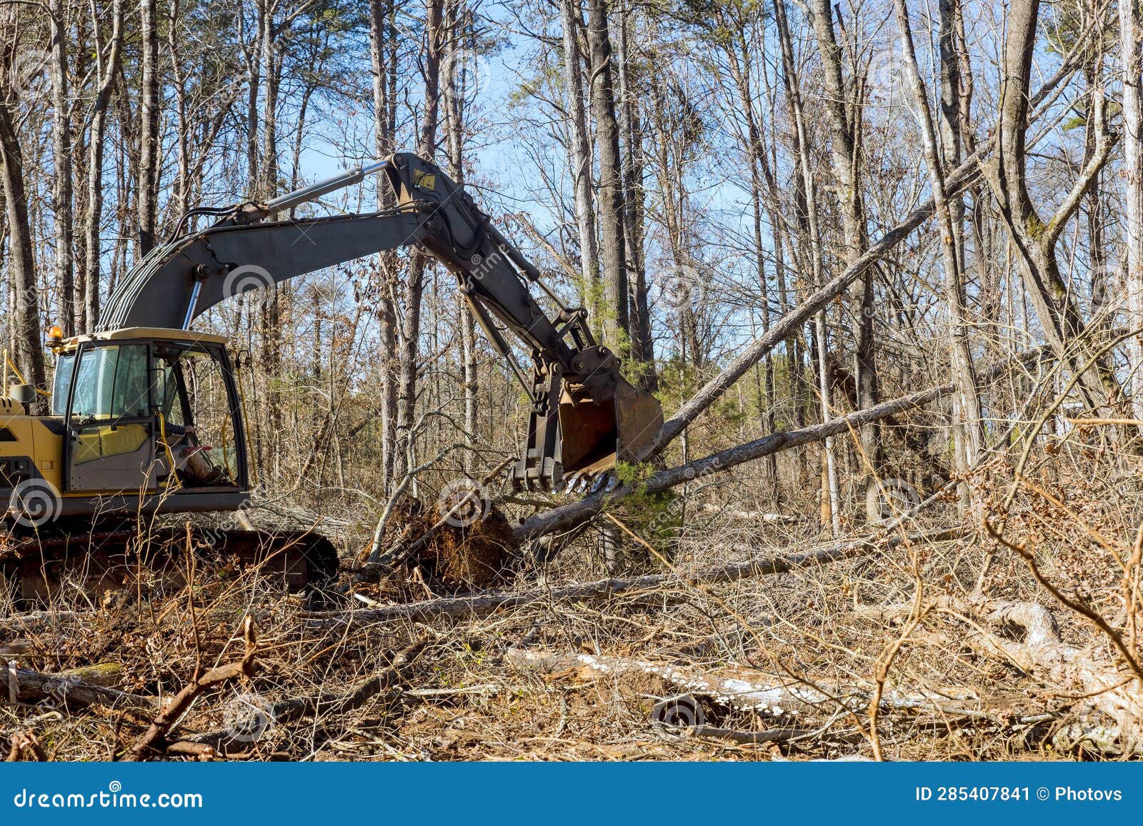Using a Backhoe Excavator Worker Uproots Trees from Forest, Preparing ...