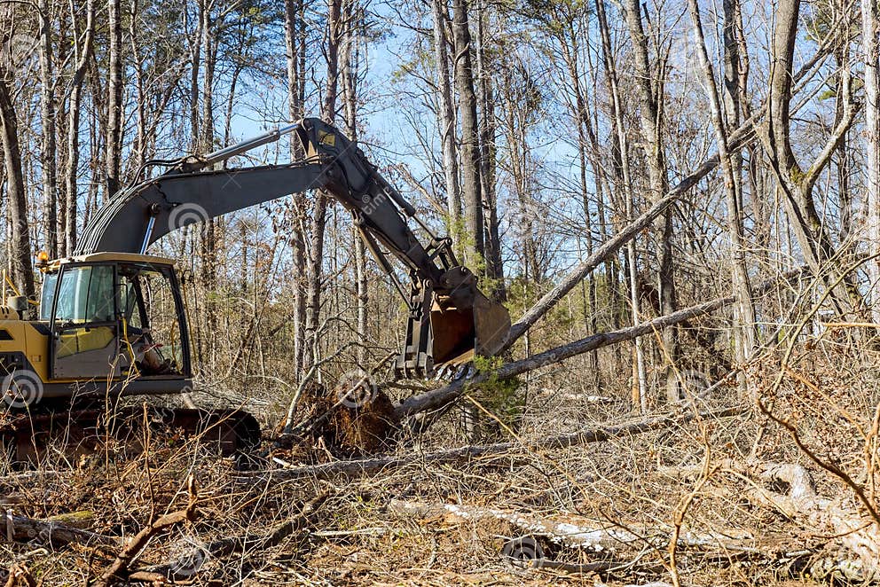 Using a Backhoe Excavator Worker Uproots Trees from Forest, Preparing ...