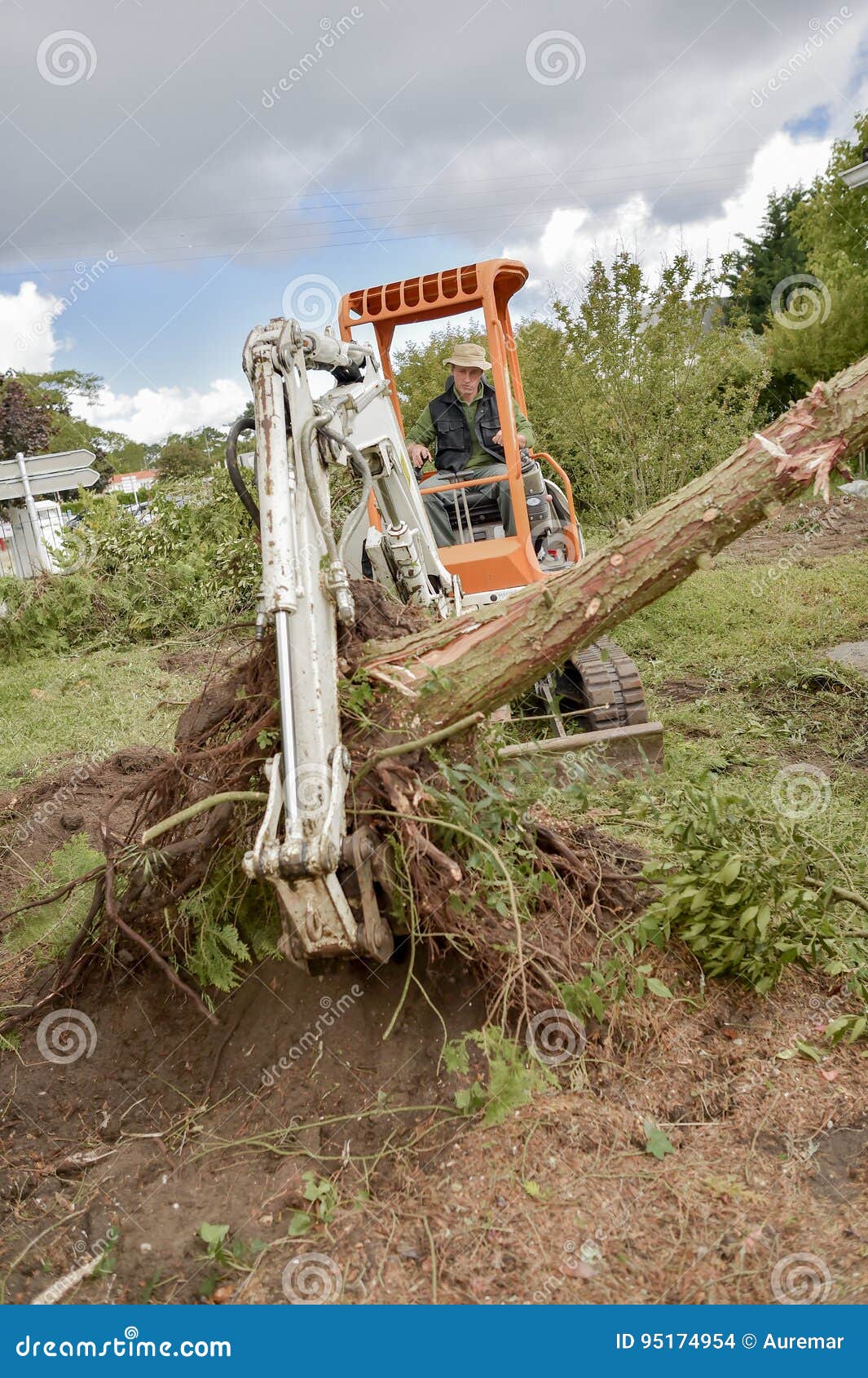 Using Digger To Remove Tree Stock Photo - Image of removal, volunteer ...