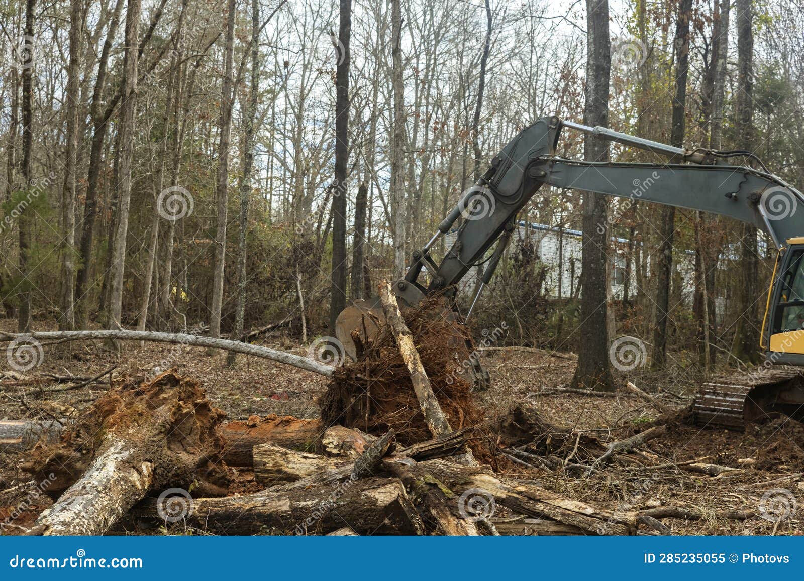 Using an Excavator Worker is Preparing Ground by Uprooting Trees To ...