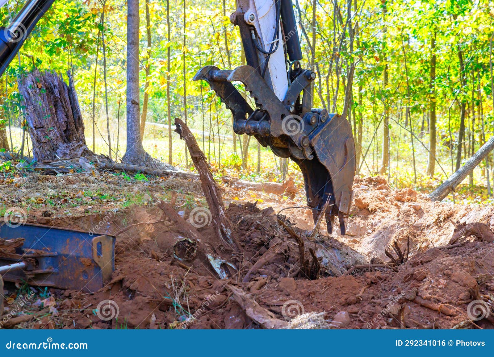 Using Excavator, Worker Uproots Trees in Preparation for Construction ...