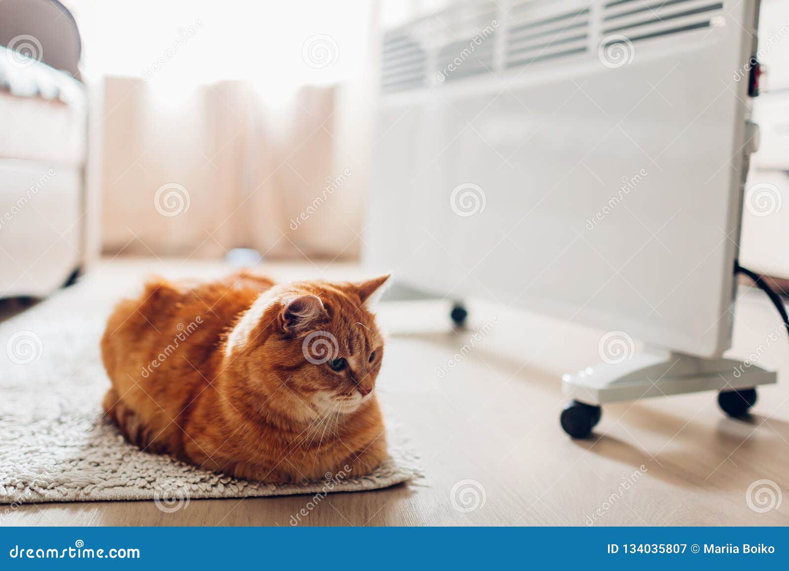 Using Heater at Home. Heating Season Stock Image - Image of clothing ...