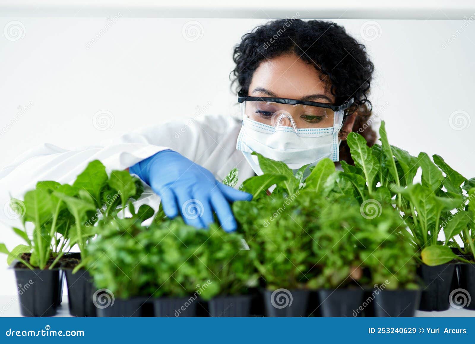 Using Her Knowledge To Increase Crop Yields. a Female Scientist ...