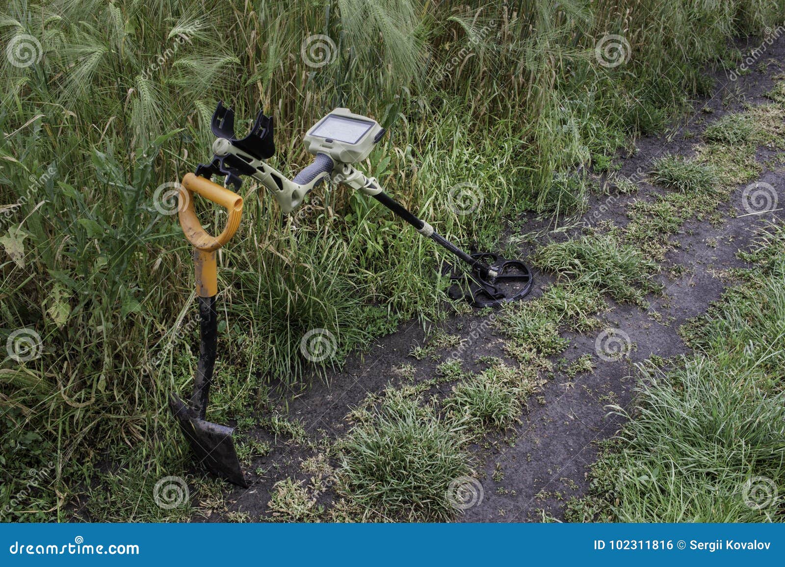 Process of Work Fith Metal Detector Stock Photo - Image of rain ...