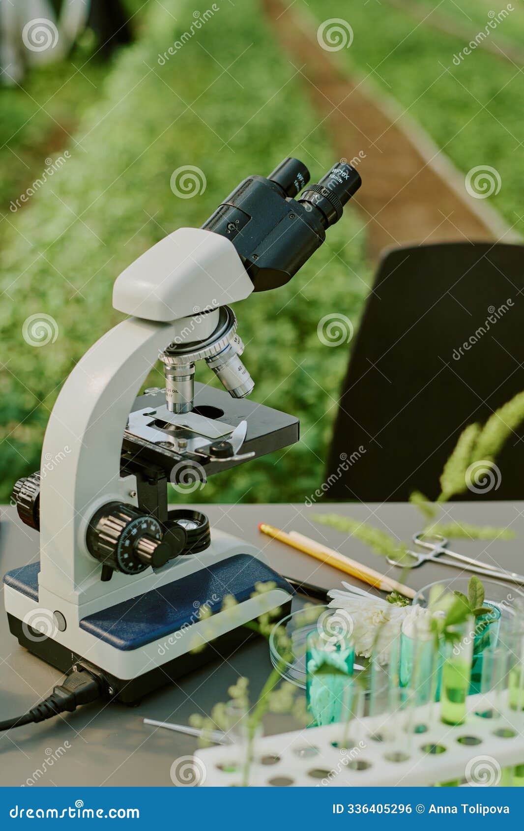 Using Microscope for Botanical Research in Laboratory Setting Stock ...