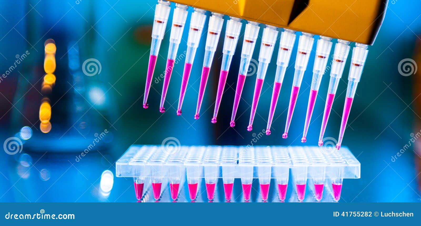 Using Multi-channel Pipette Stock Photo - Image of medical, pipet: 41755282