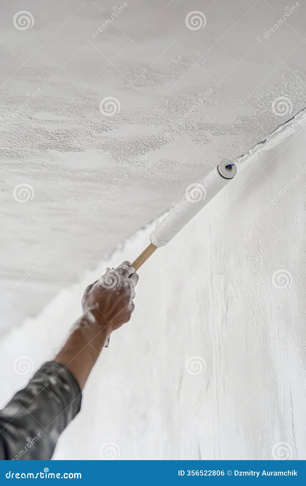 Using a Paint Roller To Apply Paint To a Gypsum Plaster Ceiling in a ...