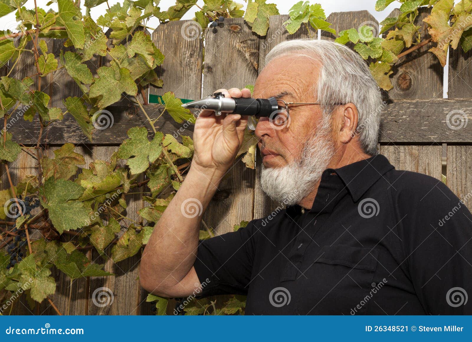 Using a Refractometer stock image. Image of harvest, wine - 26348521