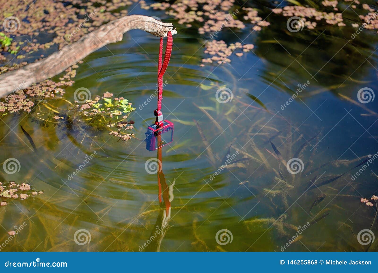 Using a Small Underwater Camera Stock Photo - Image of learning ...