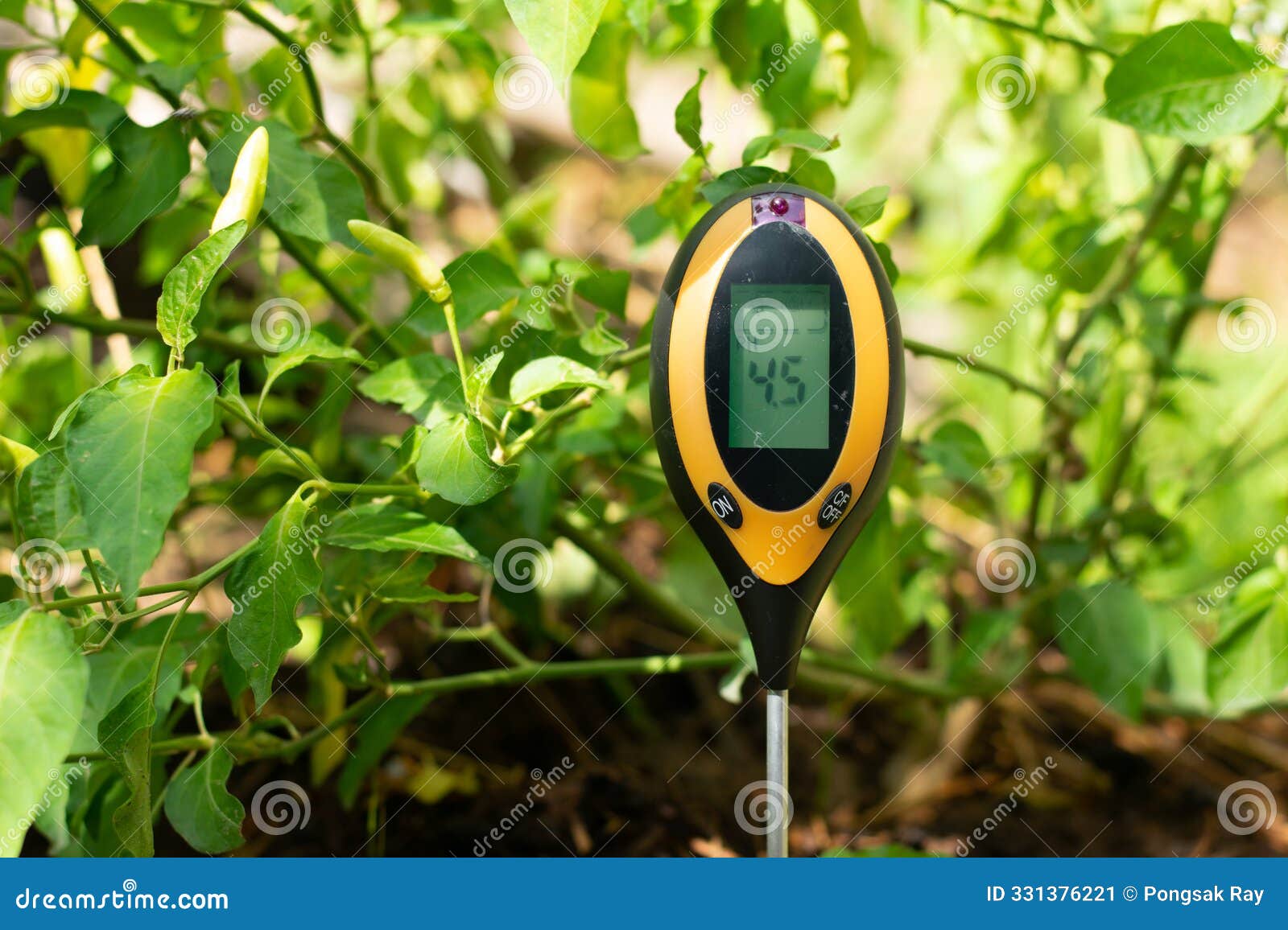 Using a Soil PH Measuring Device Stock Image - Image of device, display ...