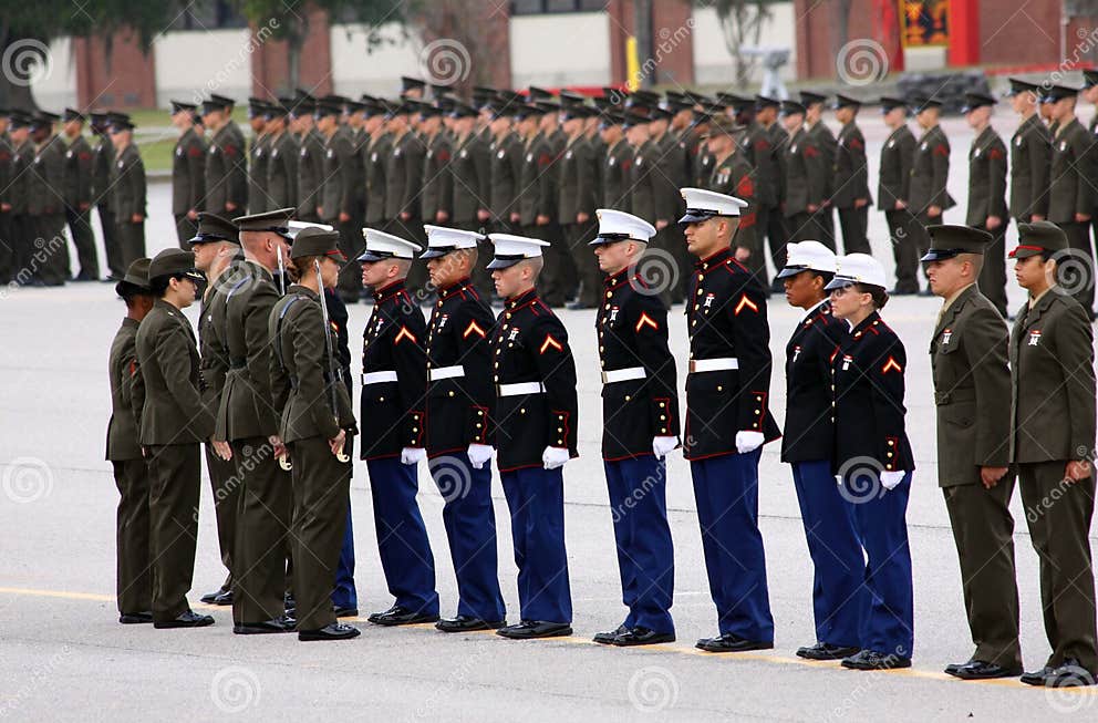 USMC Graduation Honor Recruit Awards Editorial Stock Photo - Image of ...