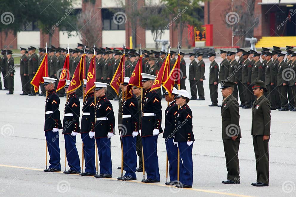USMC Graduation Honor Recruits Editorial Stock Photo - Image of ...