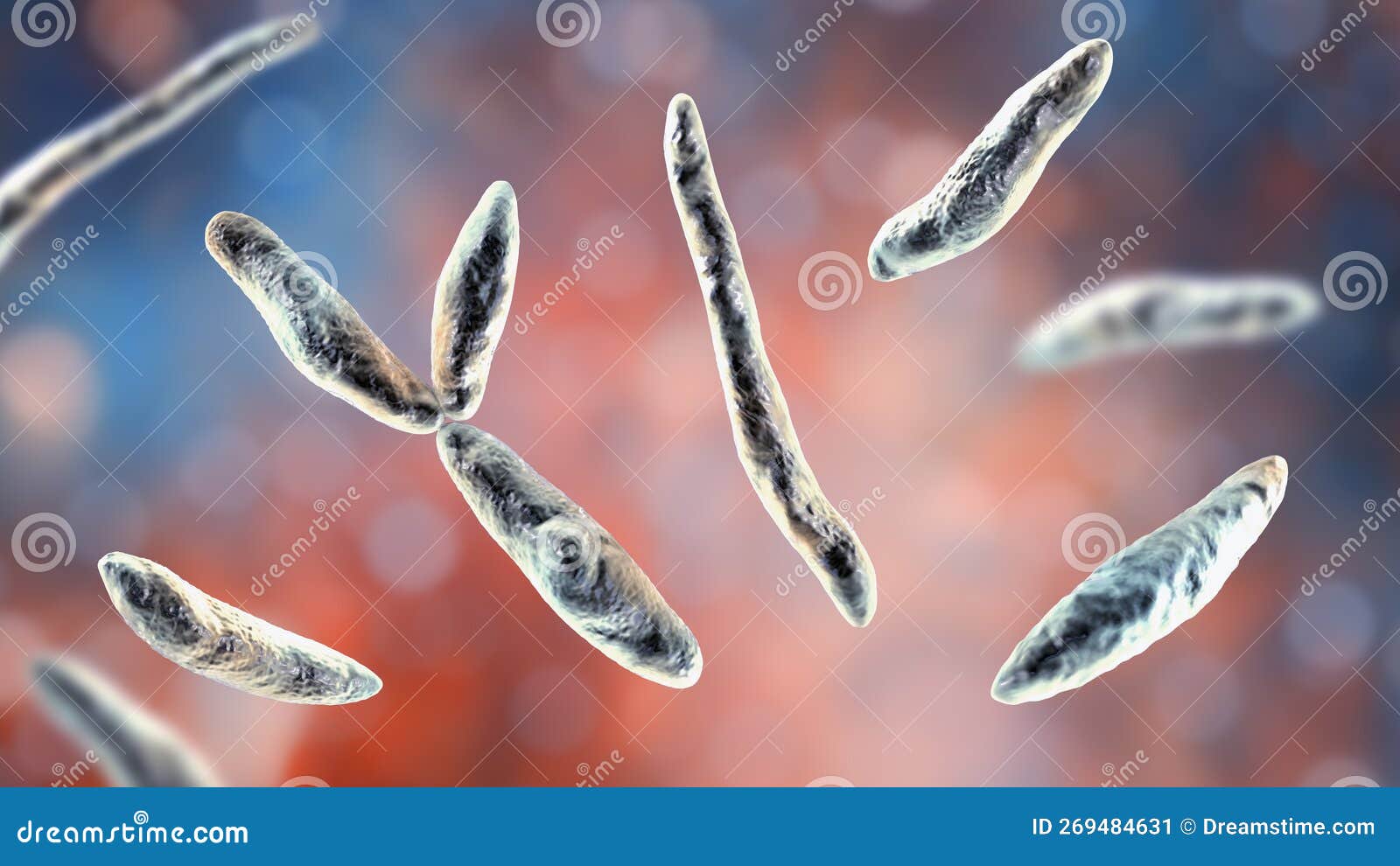 Ustilago Maydis, a Fungal Pathogen Affecting Corn Plants. 3D ...