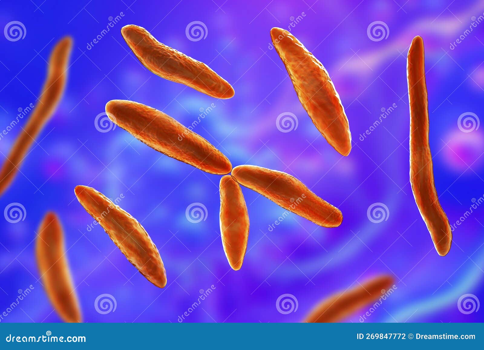 Ustilago Maydis, a Fungal Pathogen Affecting Corn Plants. 3D ...