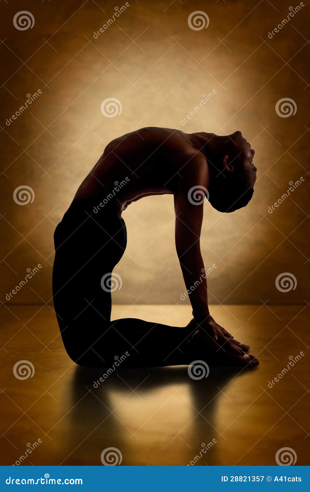 Ustrasana Asana Camel Yoga Posture Stock Image - Image of recreation ...