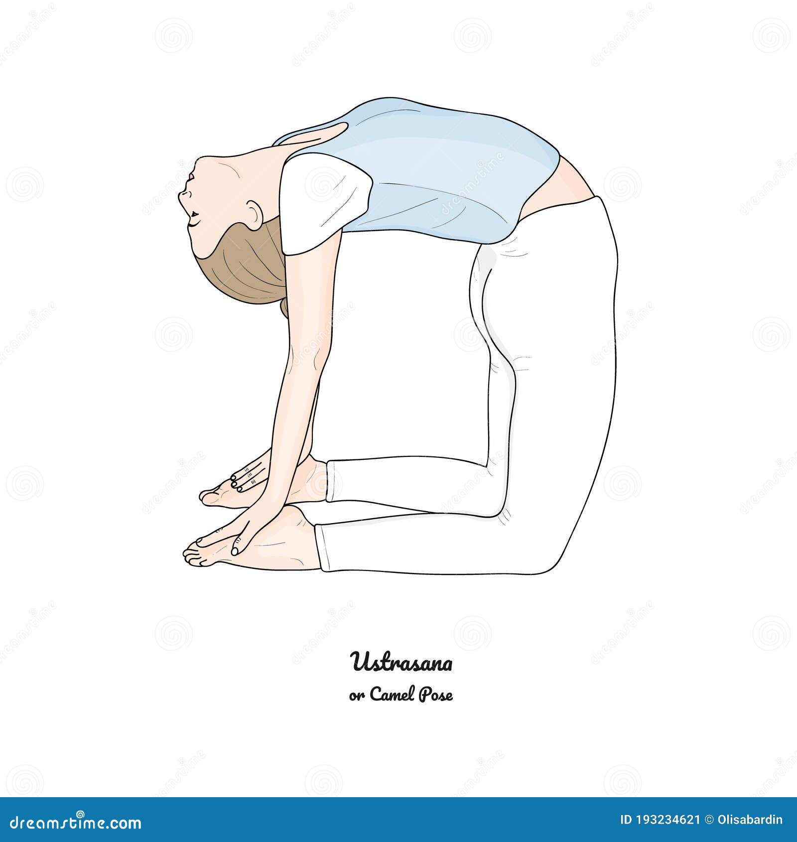 Ustrasana or Camel Pose. Vector Stock Vector - Illustration of ...