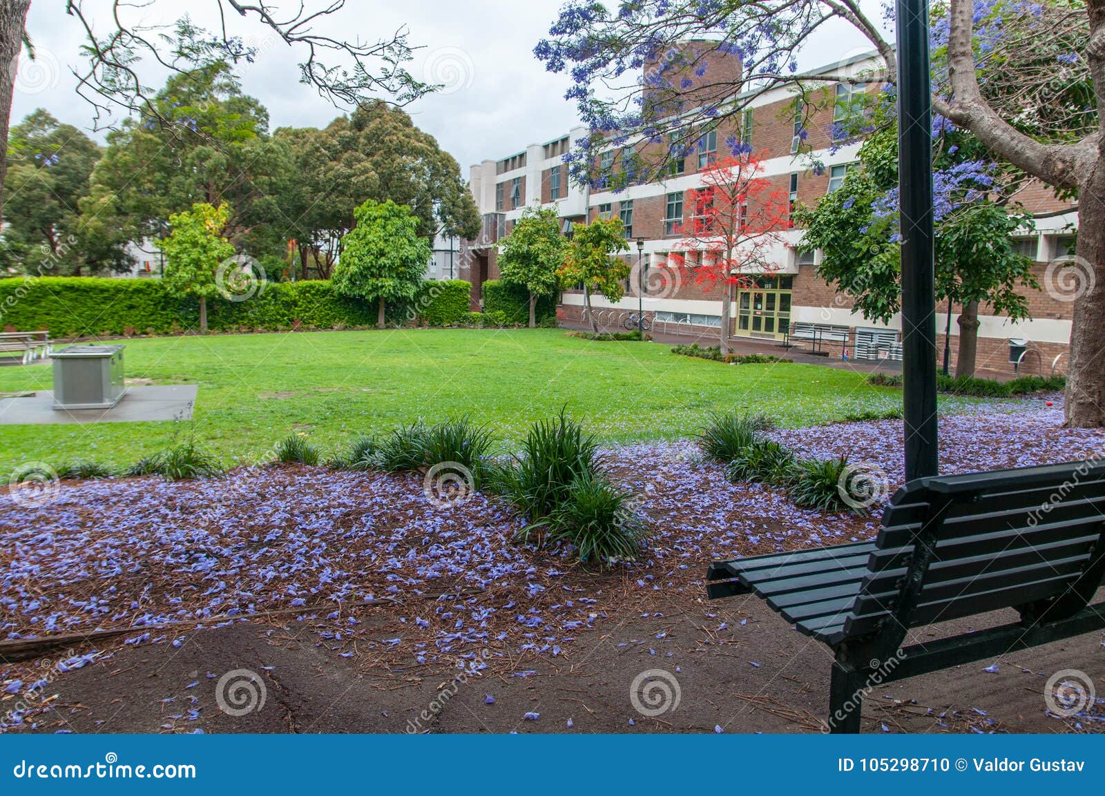 USYD Campus stock photo. Image of buliding, australia - 105298710