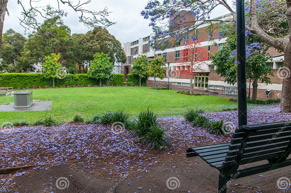 USYD Campus stock photo. Image of buliding, australia - 105298710