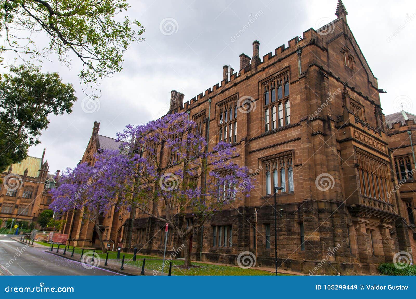 USYD Campus stock image. Image of buliding, town, home - 105299449